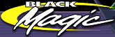 blackmagicracing - Snowmobile Hall of Fame